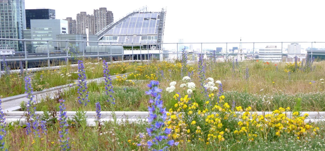 Green Infrastructure | Better Buildings Partnership