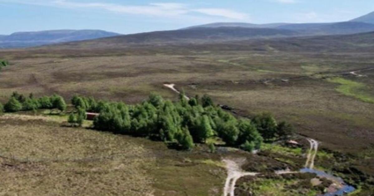 abrdn pioneers nature-based solutions in the UK | Better Buildings ...